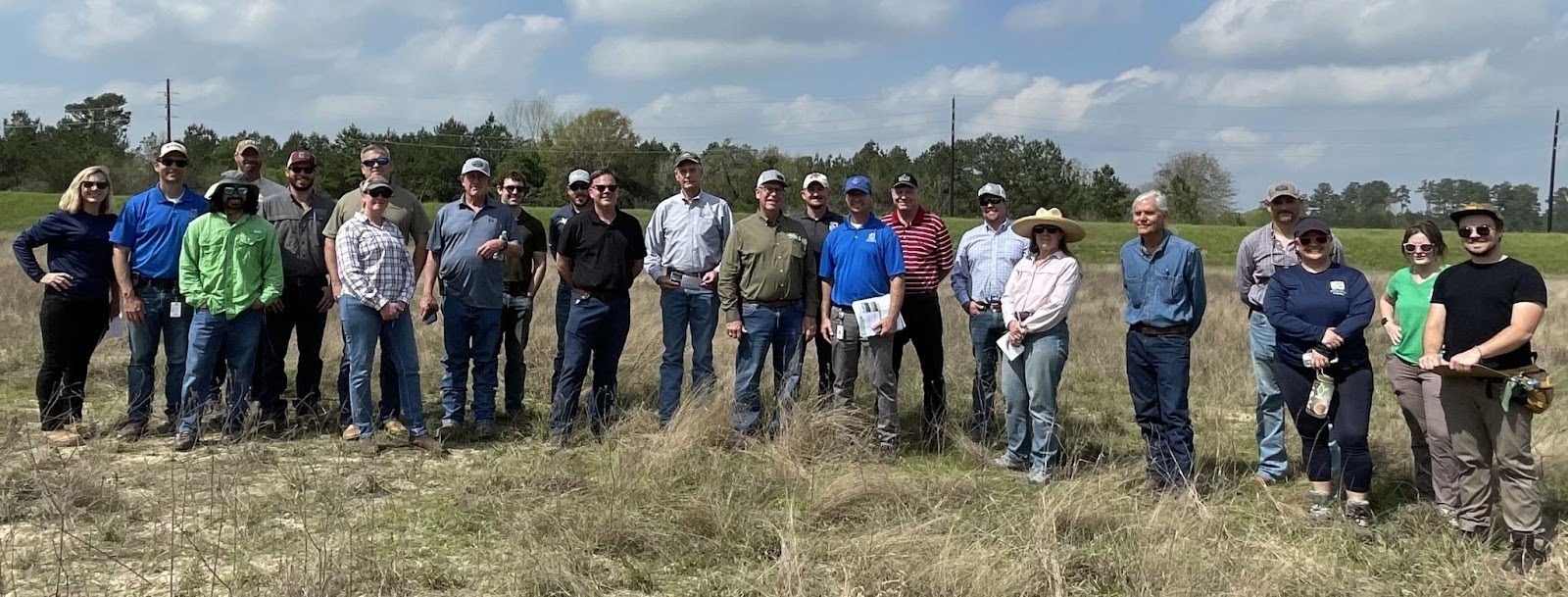 The Southeast Texas Native Seed Mix - Bamert Seed